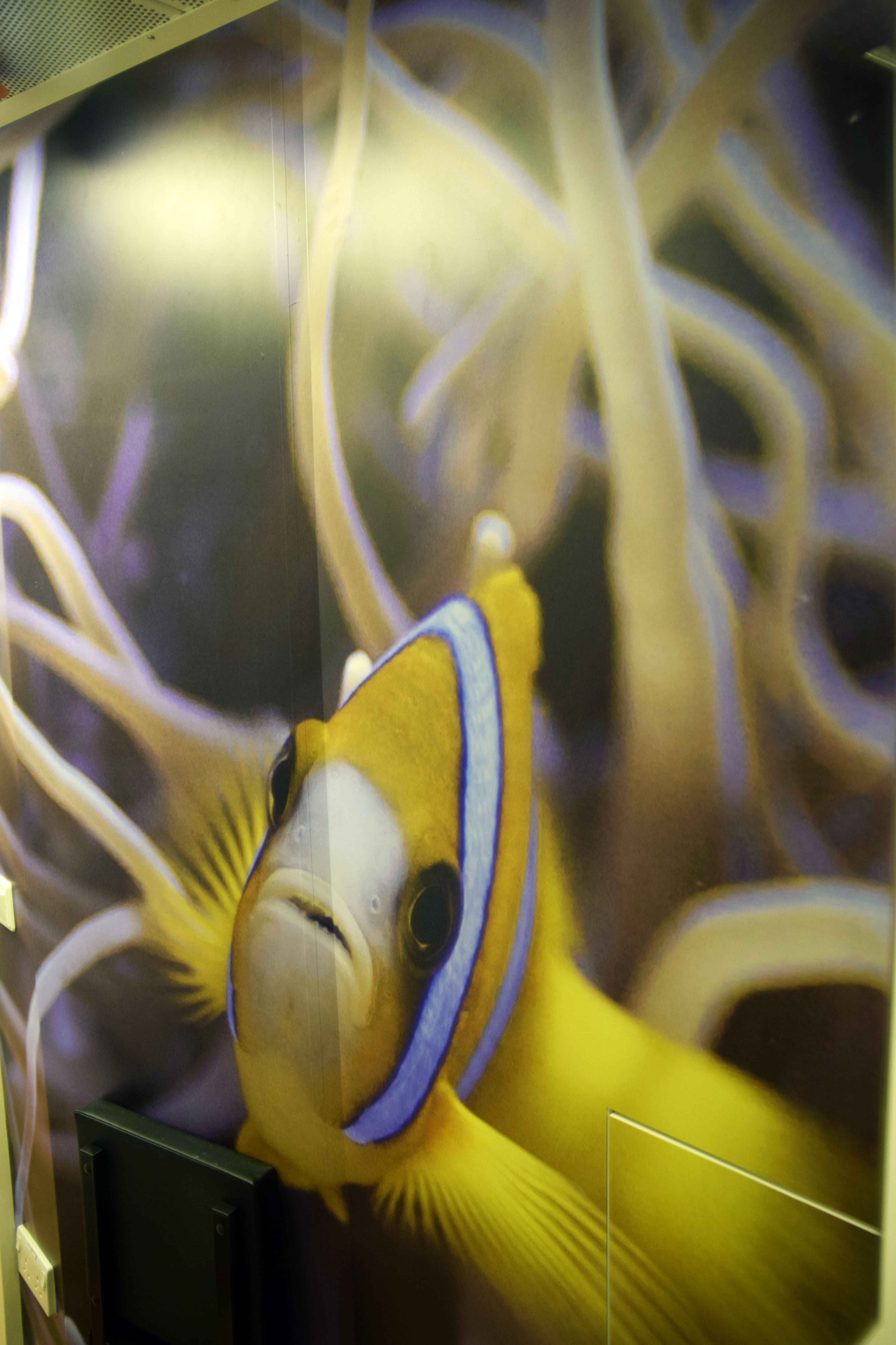 FML MT015 - Fairford Medical